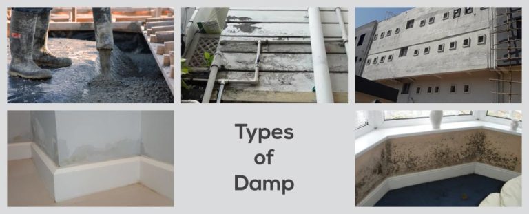 Why Excess Moisture is a Threat to Your Home - Professional Home ...