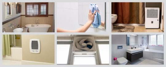 Why Excess Moisture is a Threat to Your Home - Professional Home ...