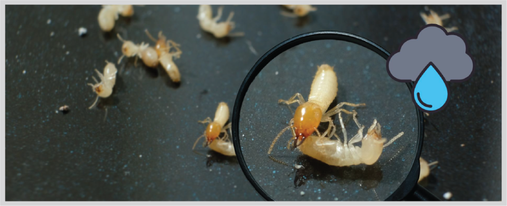 Dealing Your Home With Monsoon | This Checklist Might Help Protecting ...