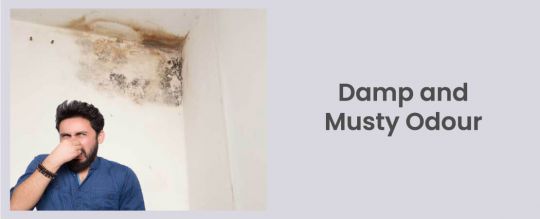 8 Moisture Warning Signals in Your Home