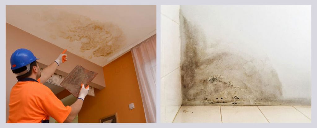 8 Moisture Warning Signals in Your Home