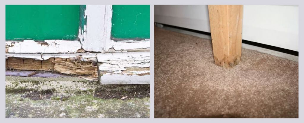 20 Common Problems Home Buyers Should Look Out For