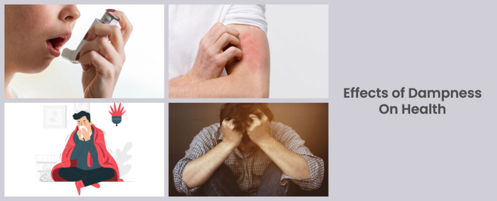 Top 7 Sources of Dampness in a House & its Harmful Effects