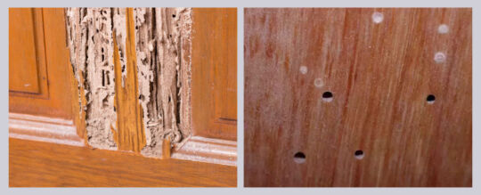 14 Door Defects Commonly Detected During Home Inspection