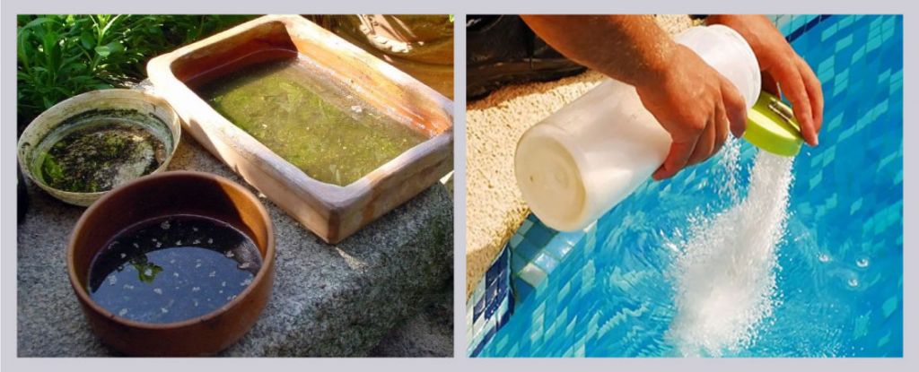 7 Tips to Keep Your Home Pest-Free This Summer