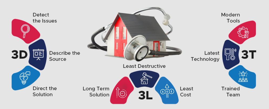 Moisture/ Damp / Seepage / Leakage Inspections with Solutions through ...